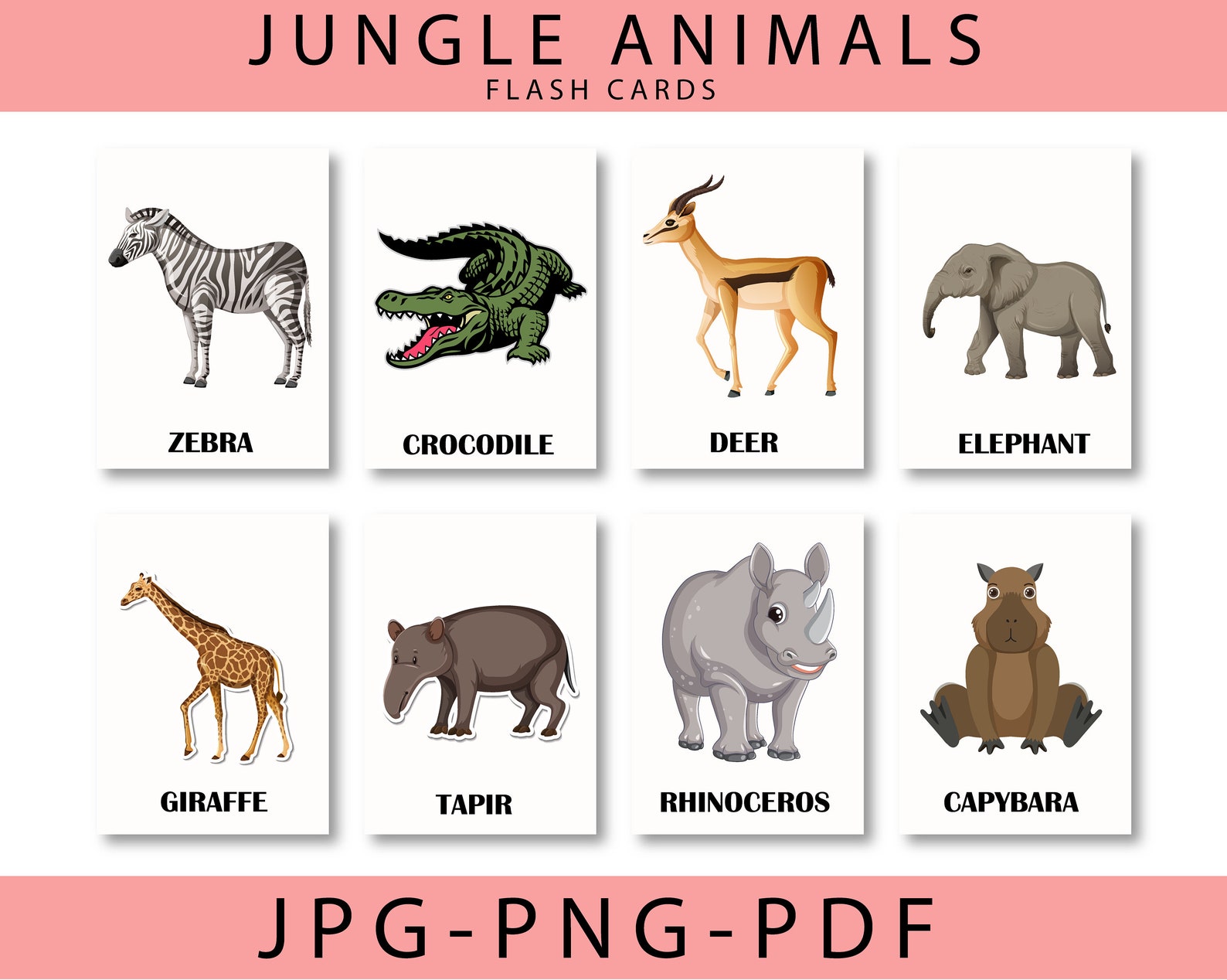 16 JUNGLE ANIMALS Flash Cards, Montessori Cards, Educational Cards ...