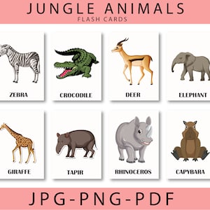 16 JUNGLE ANIMALS Flash Cards, Montessori Cards, Educational Cards ...