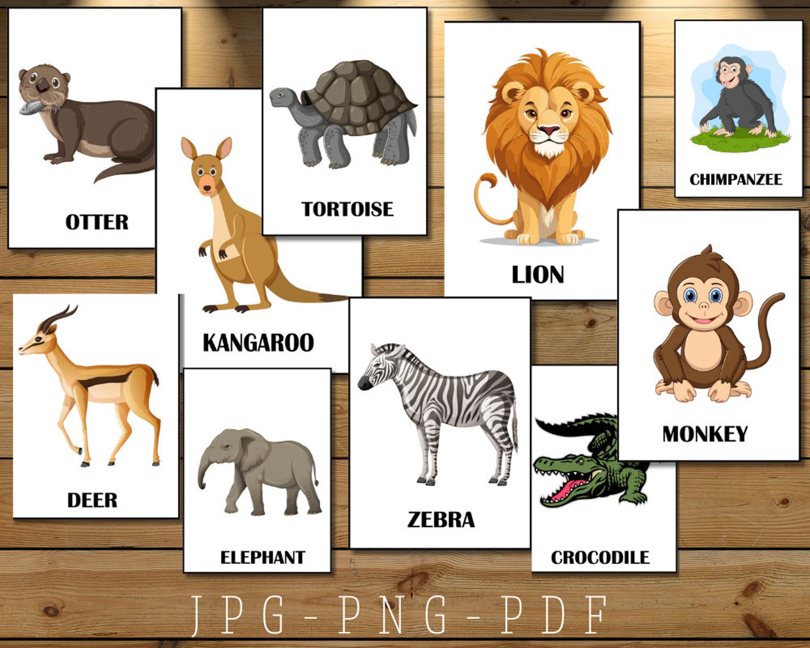 16 JUNGLE ANIMALS Flash Cards, Montessori Cards, Educational Cards ...