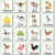 16 JUNGLE ANIMALS Flash Cards, Montessori Cards, Educational Cards ...