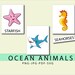 Ocean Animals Flash Cards: Montessori Sea Creatures (digital Download ...