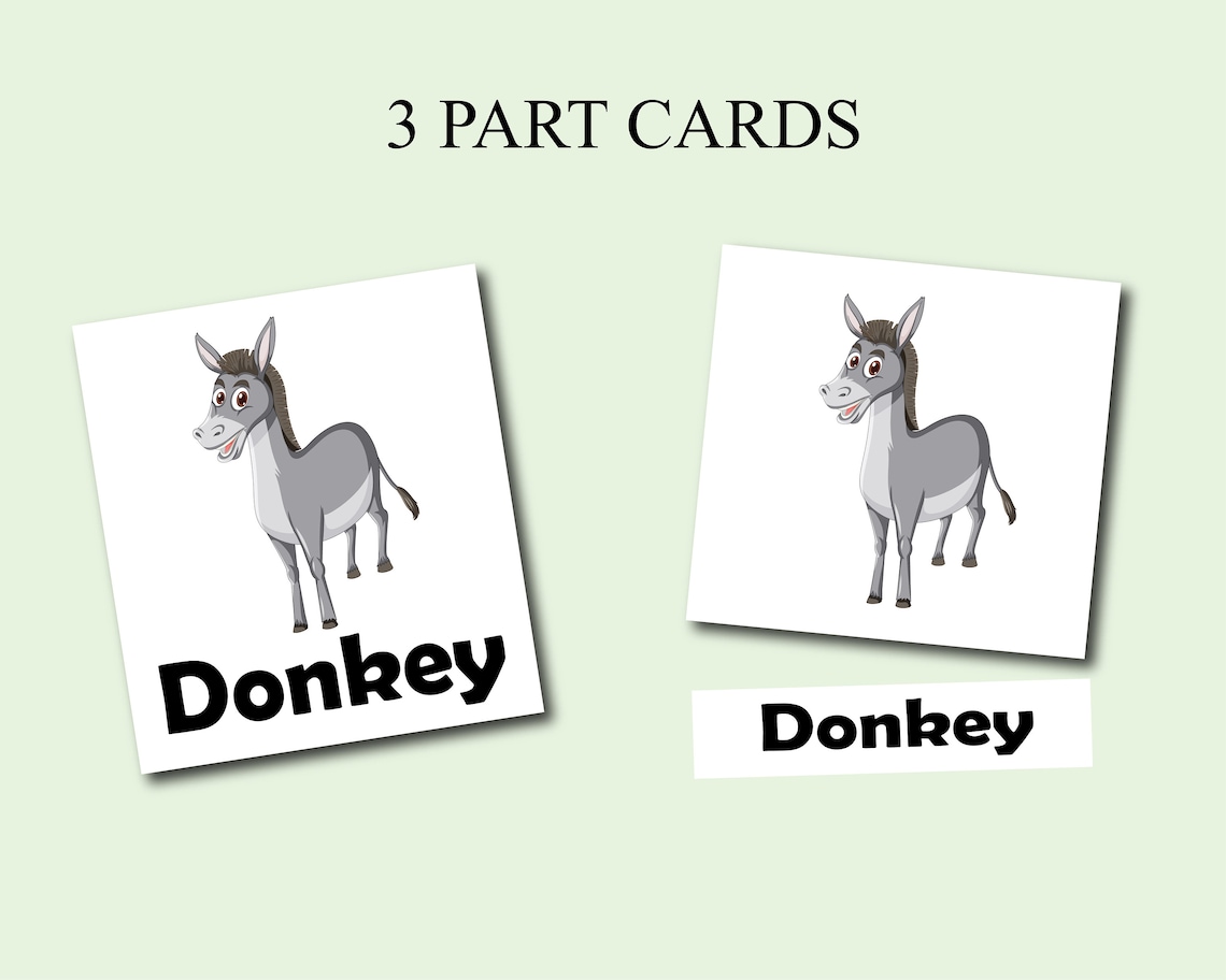 16 Farm Animals Flash Cards, Montessori Flashcards, Educational Cards ...