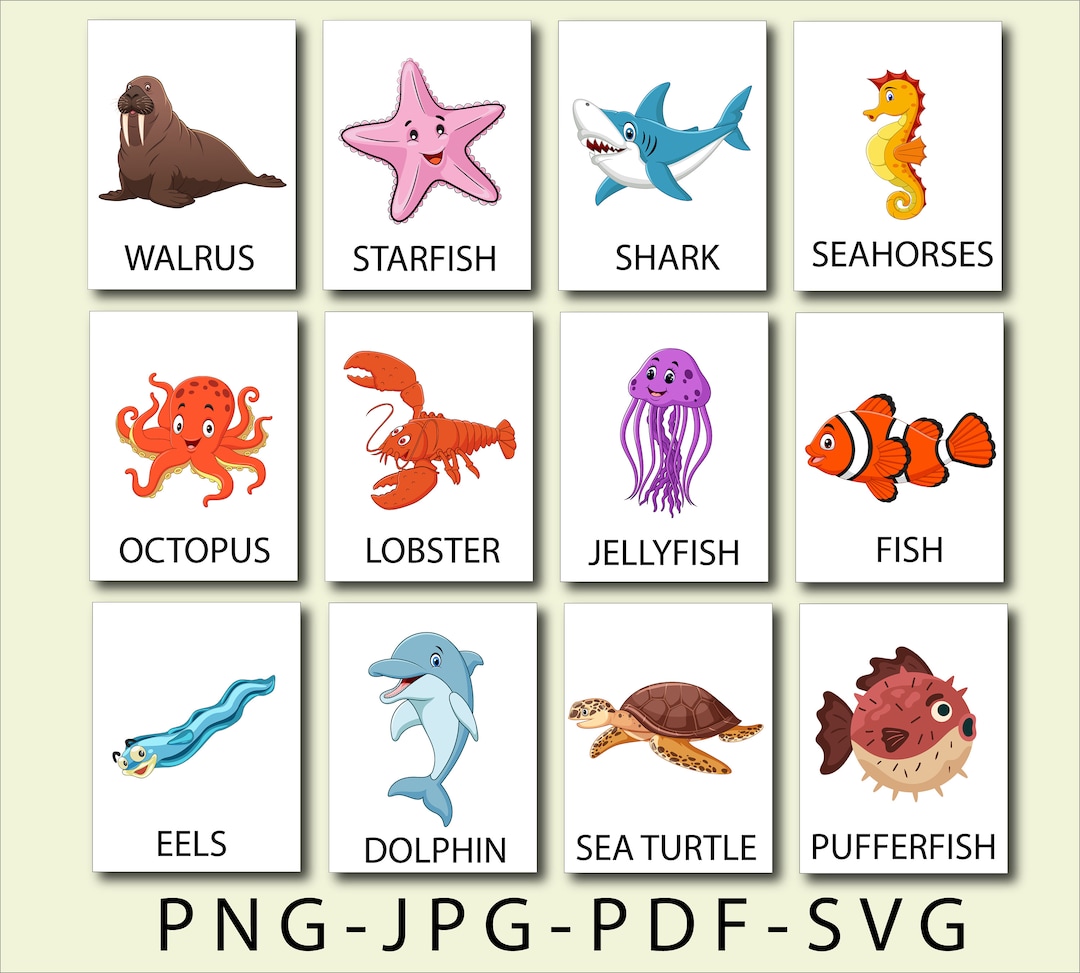 OCEAN ANIMALS, Sea Animal Montessori Cards Flash Cards Printable ...