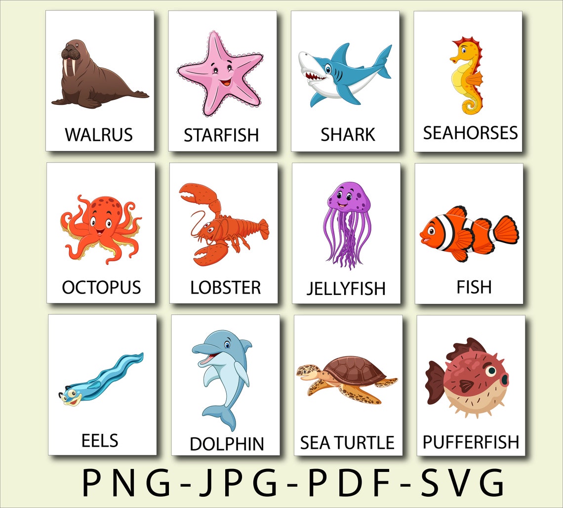 Ocean Animals Flash Cards: Montessori Sea Creatures (digital Download ...