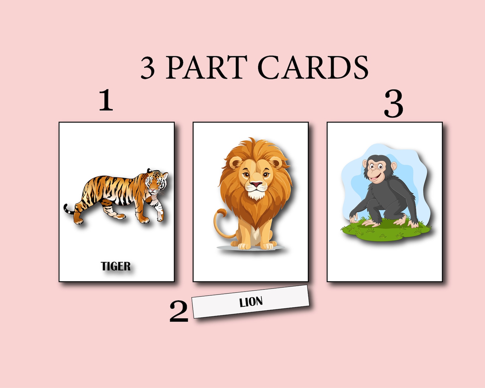 16 JUNGLE ANIMALS Flash Cards, Montessori Cards, Educational Cards ...
