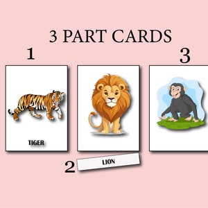 16 JUNGLE ANIMALS Flash Cards, Montessori Cards, Educational Cards ...