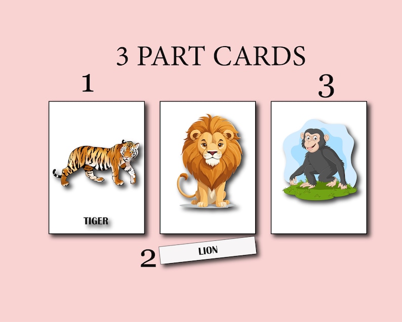 16 JUNGLE ANIMALS Flash Cards, Montessori Cards, Educational Cards ...