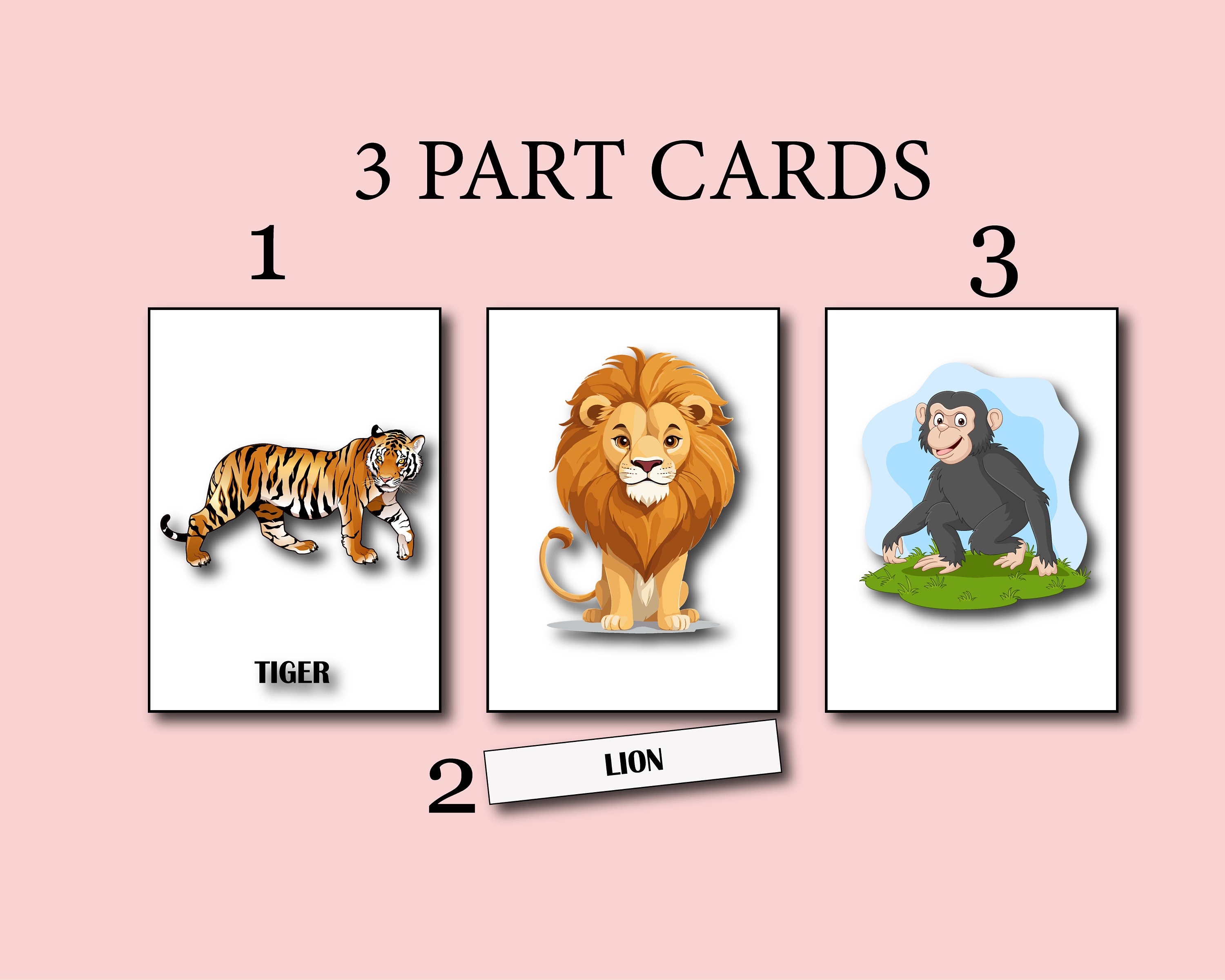 16 JUNGLE ANIMALS Flash Cards, Montessori Cards, Educational Cards ...