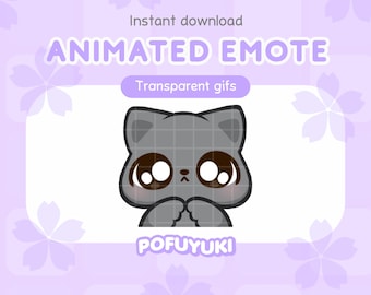 ANIMATED Shy Gray Cat Emote for Twitch Discord Youtube Cute Cat Gif ...