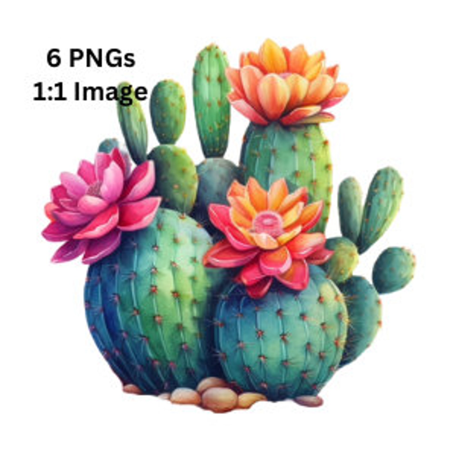 6 Cactus Drawing Pngs Cactus Drawing Cactus Pngs Cactus Clipart Cactus ...