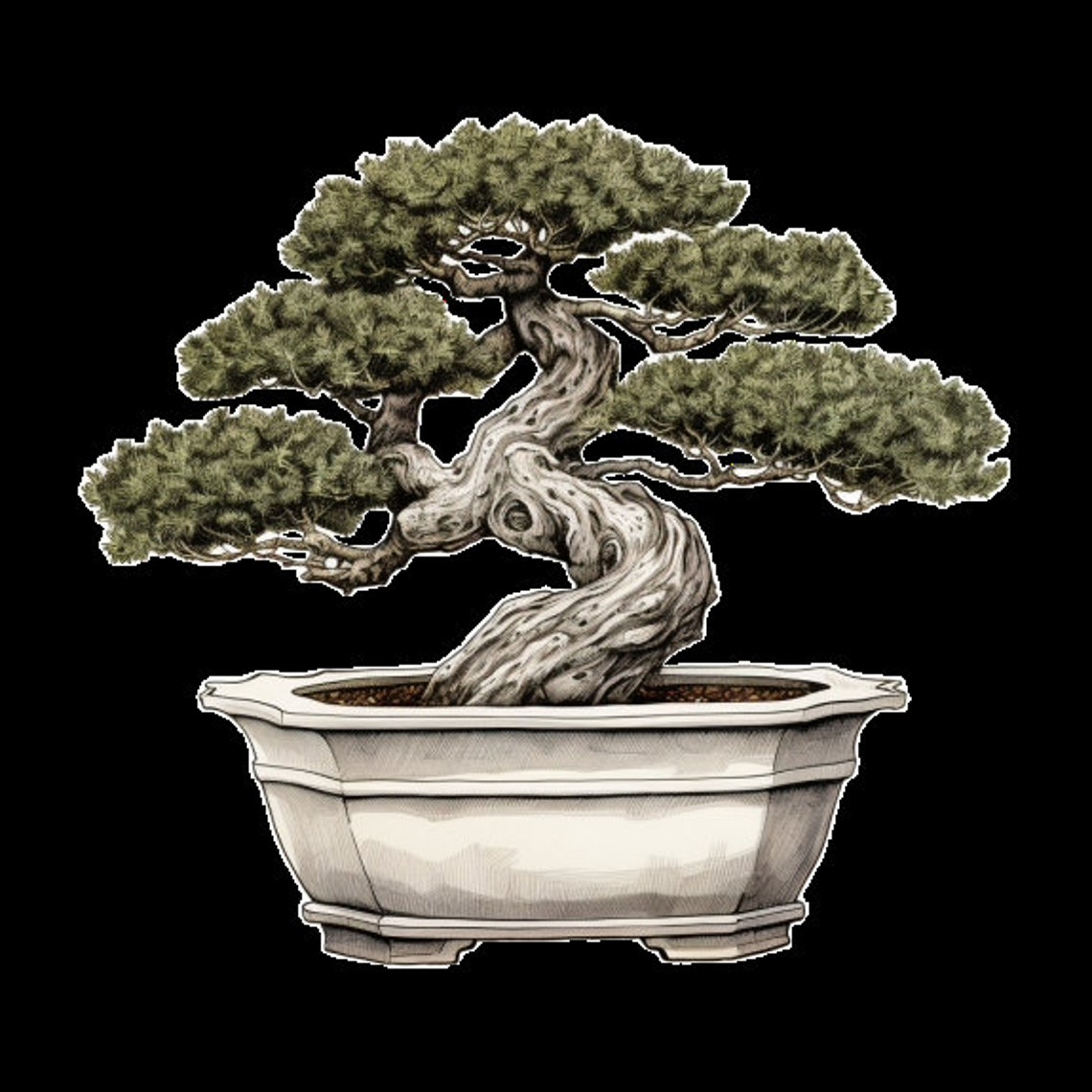 20 Bonsai Tree Drawing Pngs Tree Drawing Bonsai Drawing Bonsai PNG ...