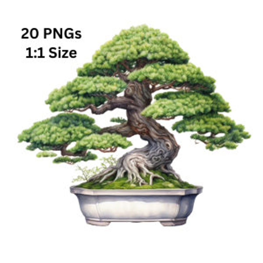 20 Bonsai Tree Drawing Pngs Tree Drawing Bonsai Drawing Bonsai PNG ...