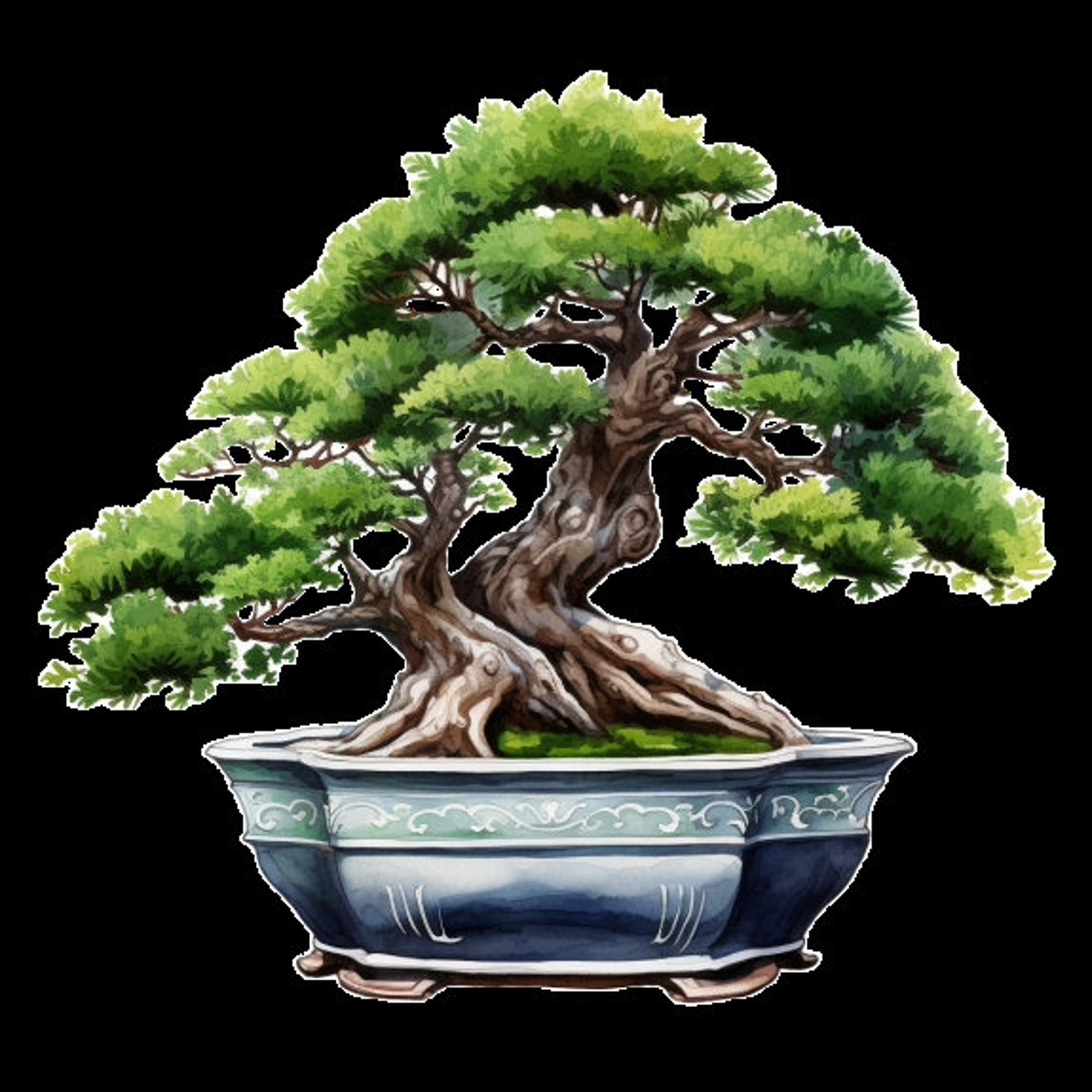 20 Bonsai Tree Drawing Pngs Tree Drawing Bonsai Drawing Bonsai PNG ...