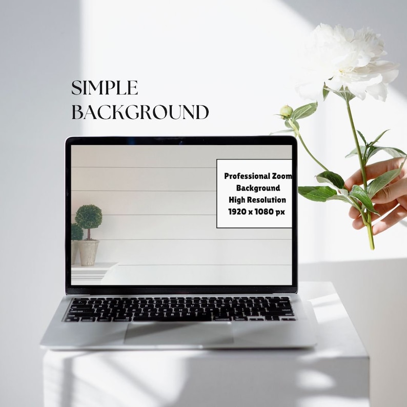 Simple Virtual Background for Meetings, Zoom Call Backgrounds- White ...