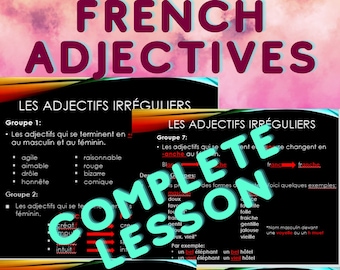 French - Agreement of Adjectives and Irregular Adjectives List - PDF - Etsy