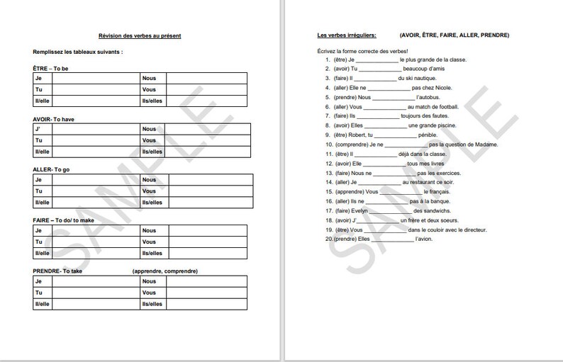 Complete French Verb Lesson - Etsy