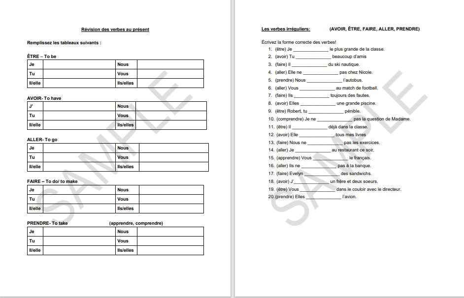 Complete French Verb Lesson - Etsy