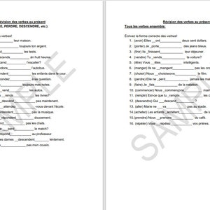 Complete French Verb Lesson - Etsy