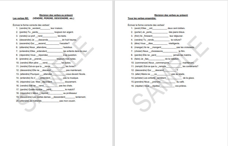 Complete French Verb Lesson - Etsy