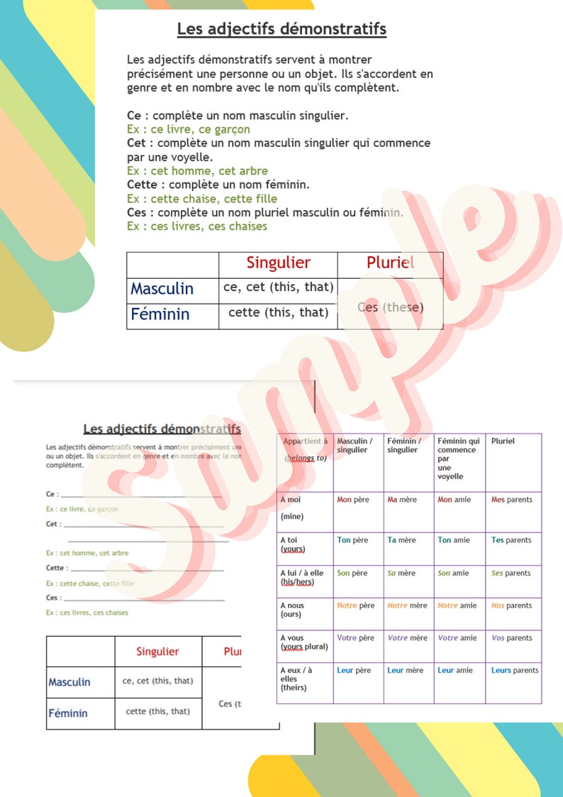 Beginner French Lesson: Adjectives - Etsy