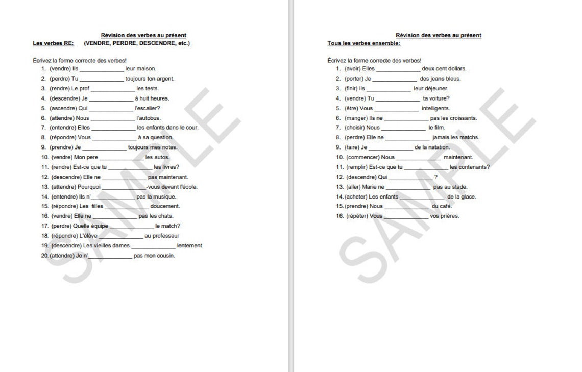 French Verb Lesson and Practice Questions - Etsy