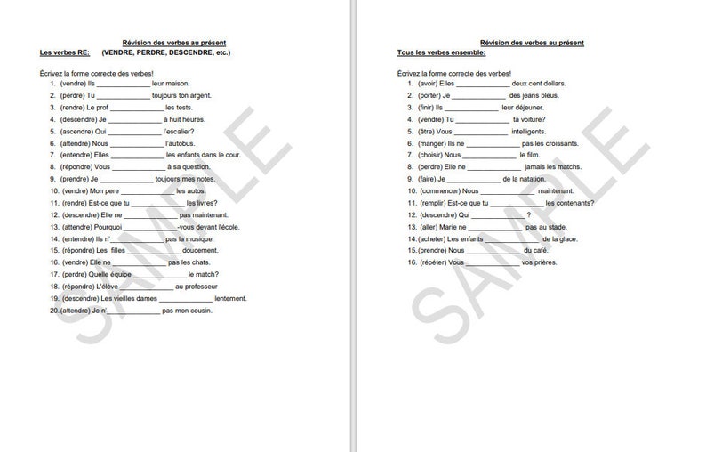 Complete French Verb Lesson - Etsy