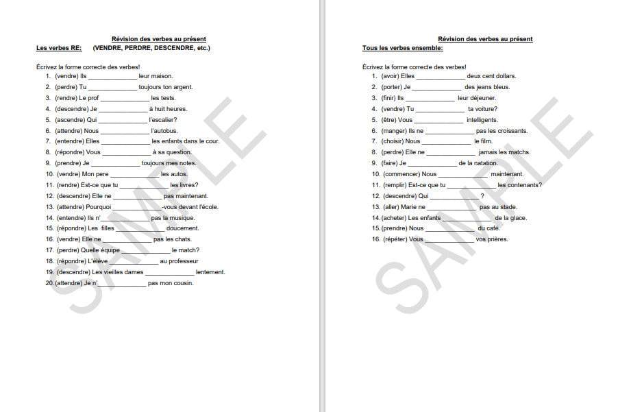 Complete French Verb Lesson - Etsy