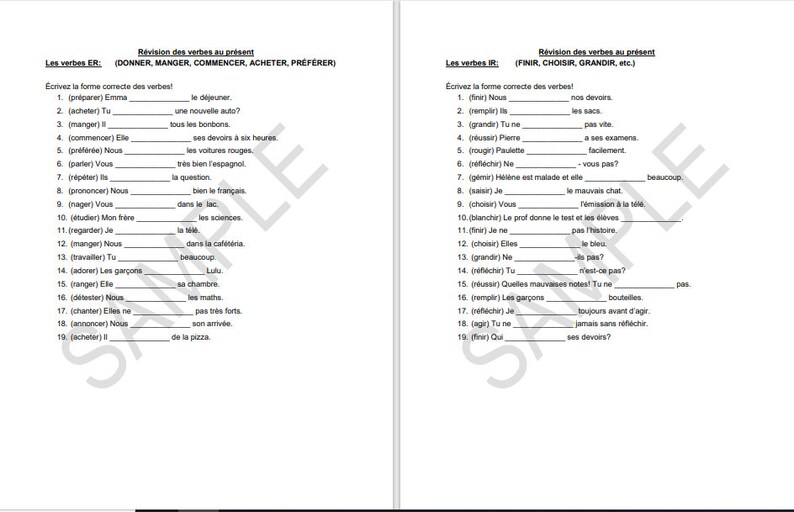 Complete French Verb Lesson! - Etsy