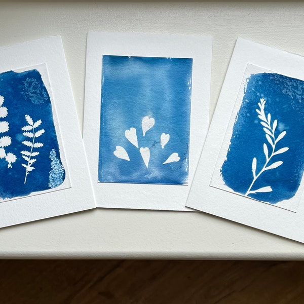 Cyanotype Cards - Etsy UK