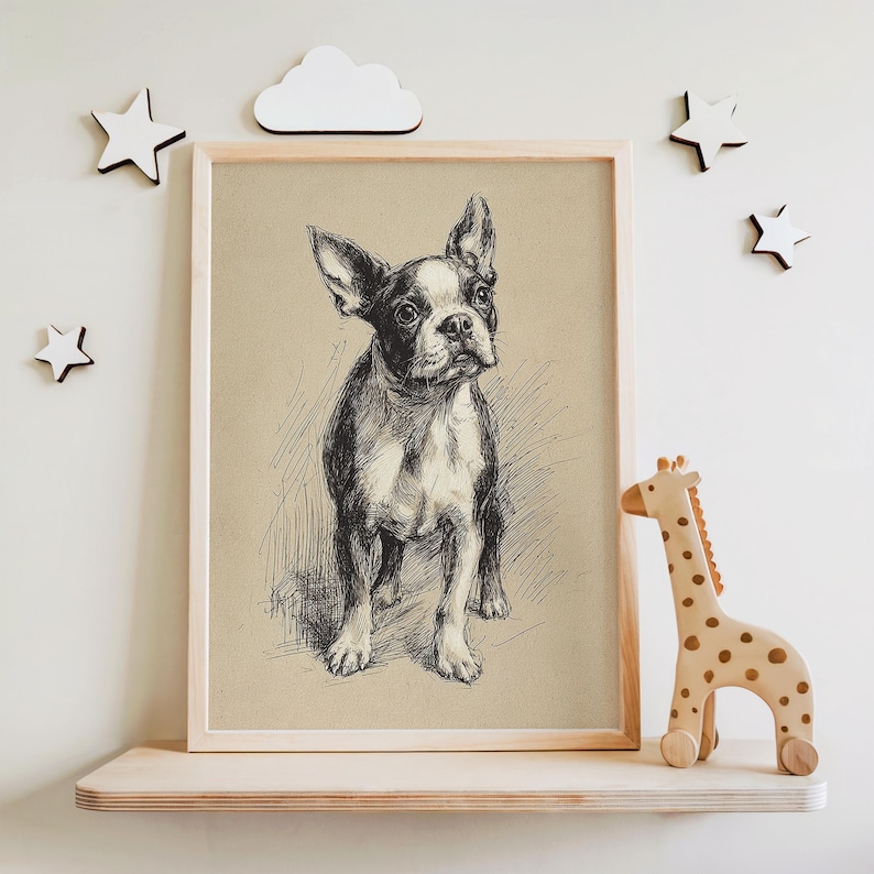 Boston Terrier Pencil Sketch, Standing Dog Art, American Gentleman ...