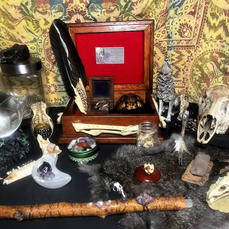 Bone Cast Kit - Etsy