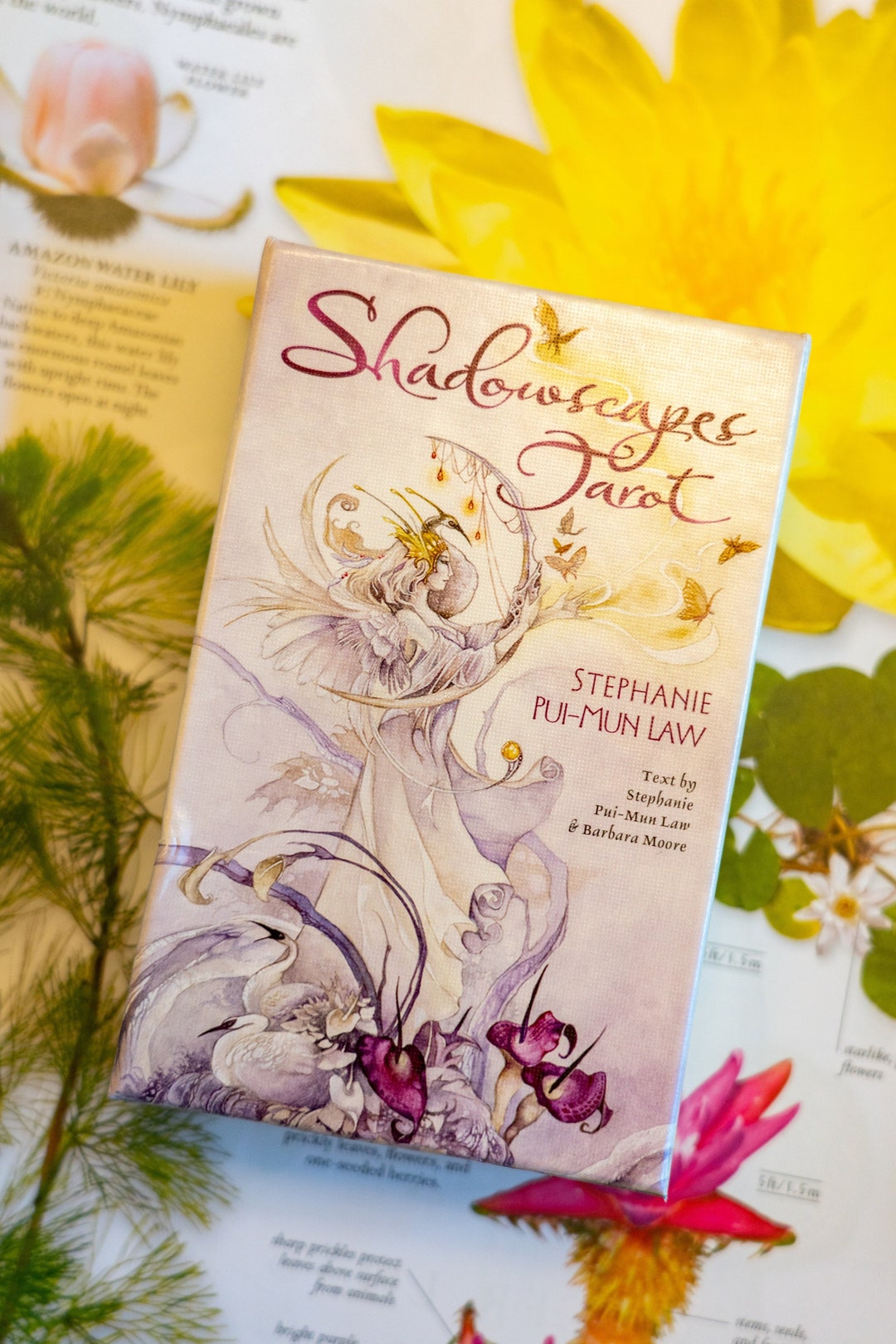 Shadowscapes Tarot Deck Cards - Etsy