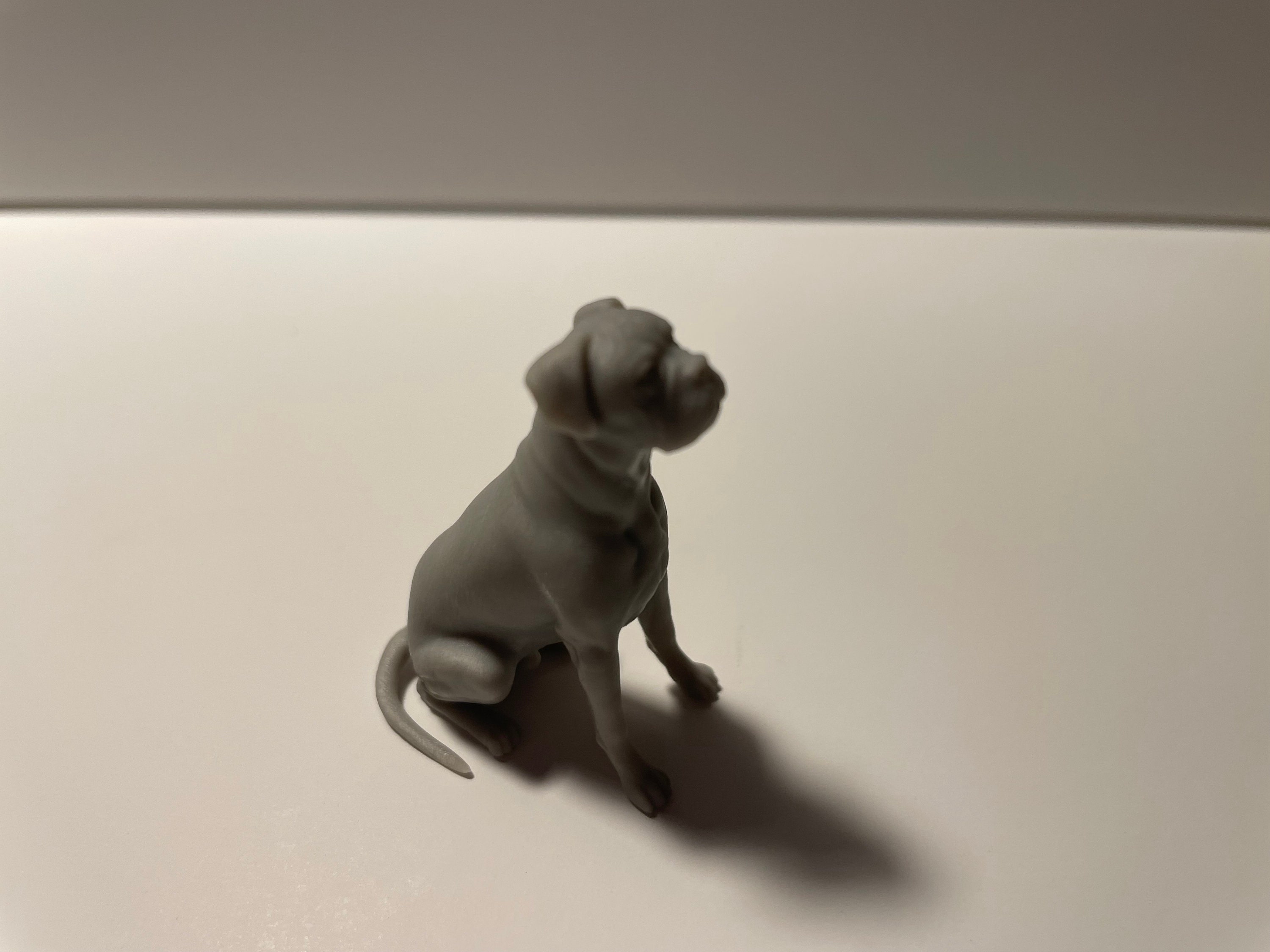 Boxer Dog Breed Scale Model Dollhouse Miniature Railroad Model - Etsy