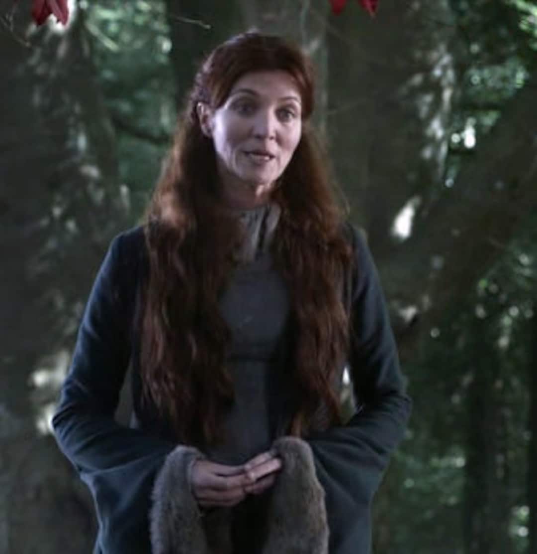 Custom Pop of Lady Catelyn cat Stark. - Etsy