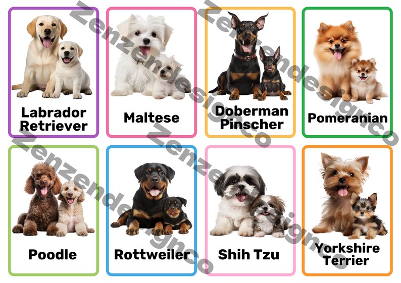 Top 24 Dog Breeds real Pictures Flash Cards Montessori - Etsy