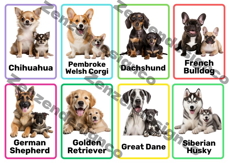 Top 24 Dog Breeds (real Pictures) • Flash Cards • Montessori Cards ...