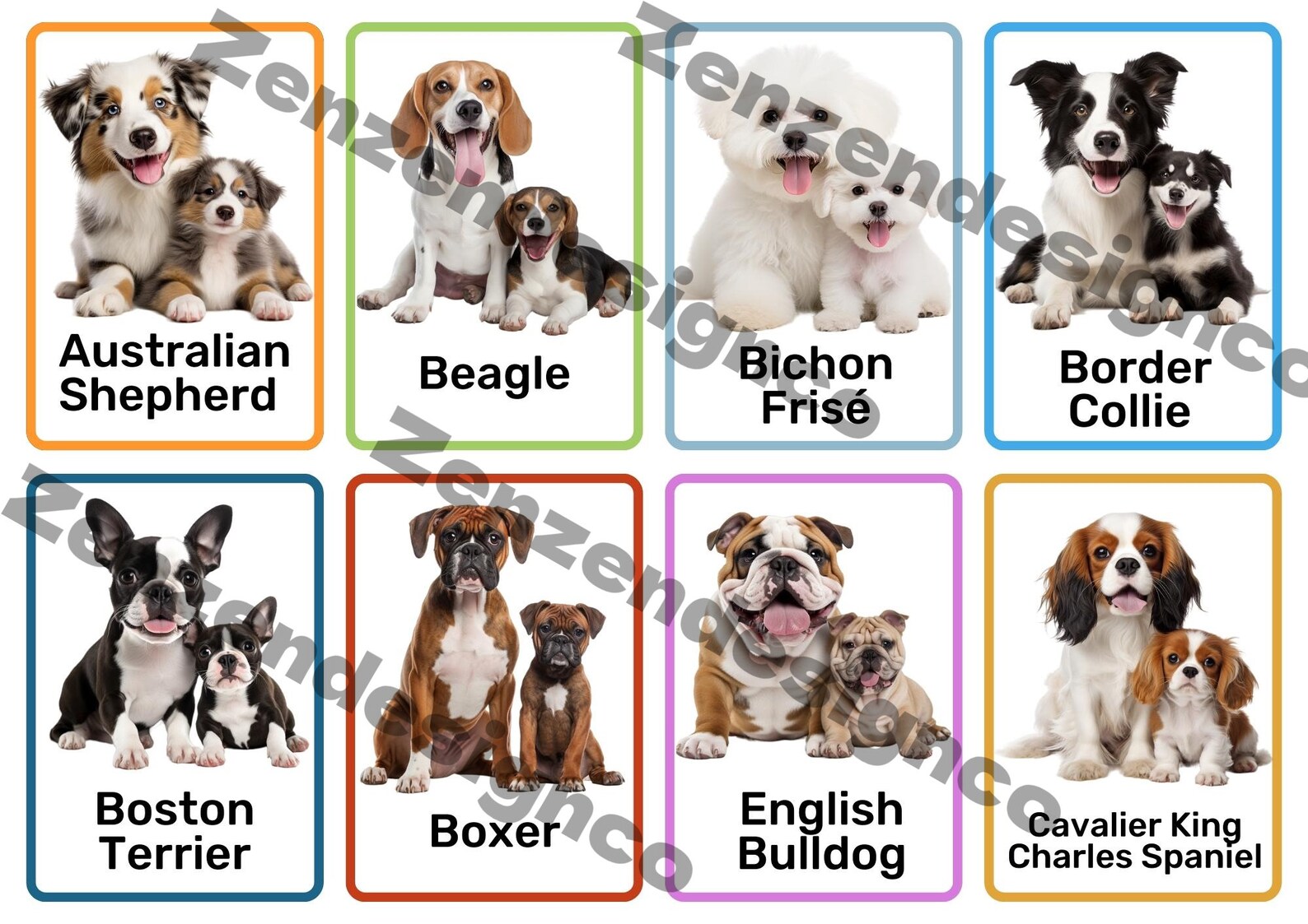 Top 24 Dog Breeds real Pictures Flash Cards Montessori Cards ...