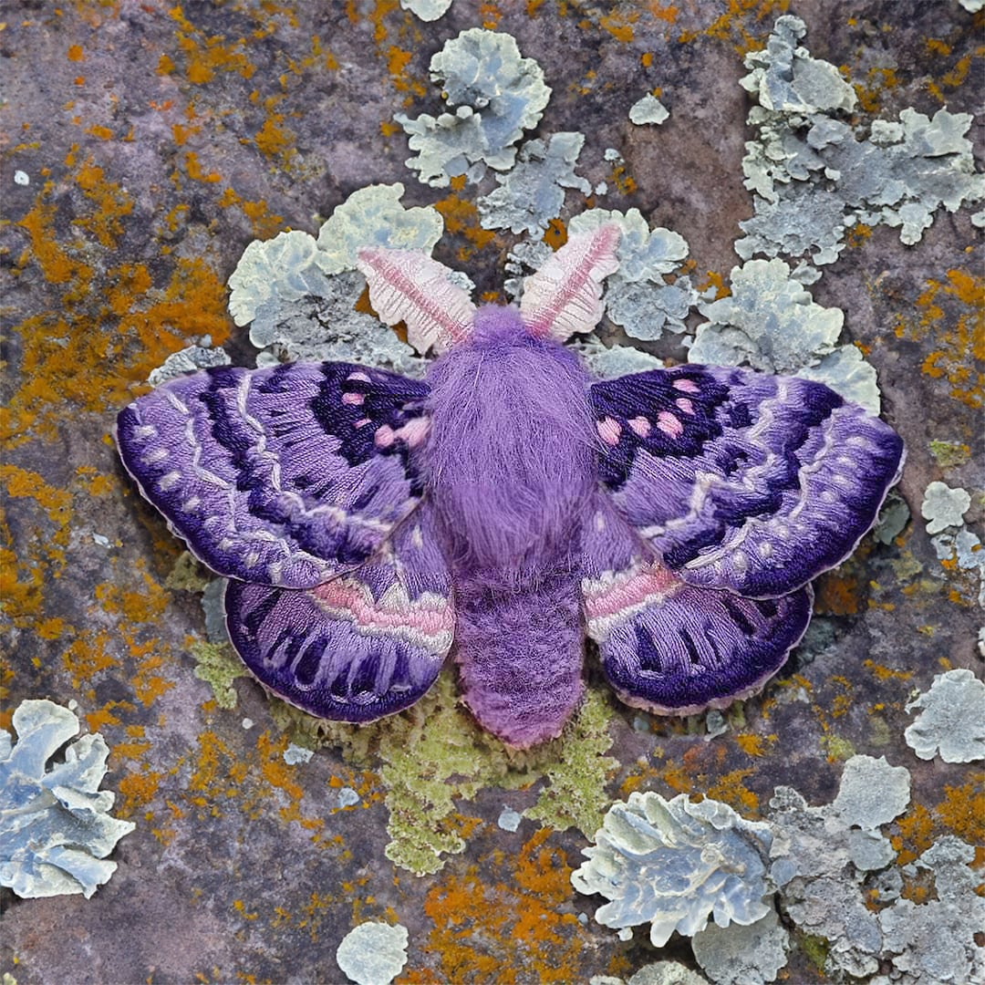 Moth Plush Luna Moth Custom Handmade Felt Plushies - Etsy