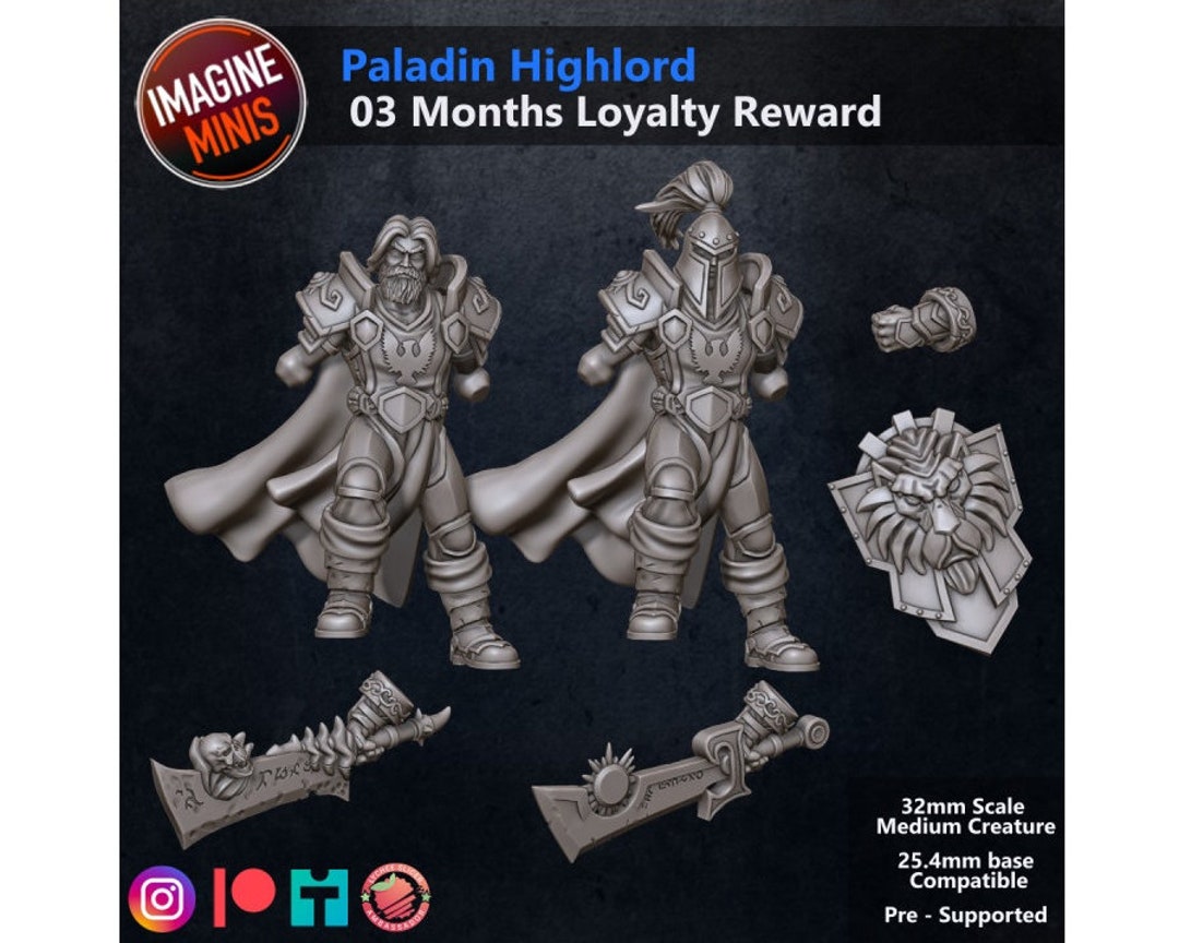 Human Highlord Paladin With Ashbringer (4 Hand Options) - Etsy
