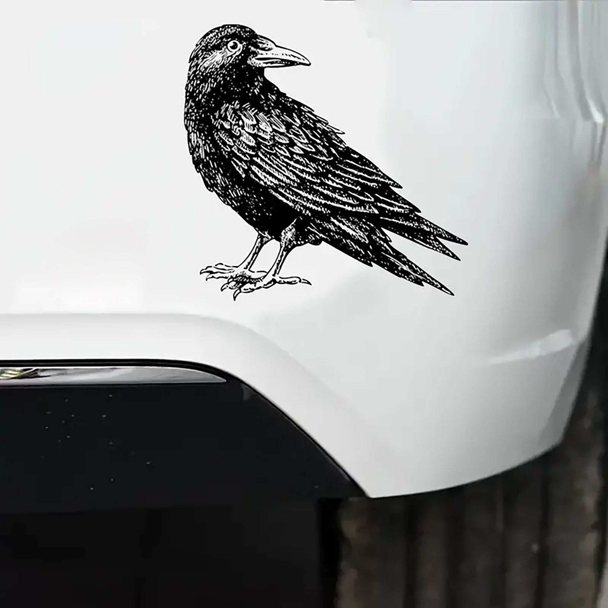 Raven Waterproof Decal, 5.5x5.3 Vinyl Decal, Car, Truck, Vehicle ...
