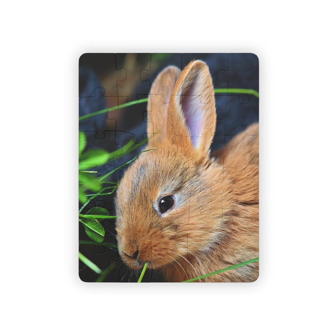 Cute Bunny Rabbit Kid's Jigsaw Puzzle - Toddler Easter Bunnies Gift ...