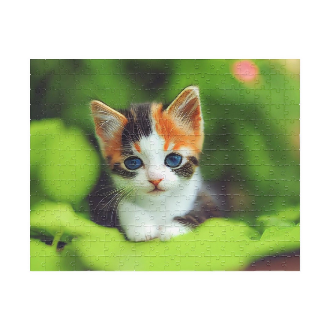 Calico Kitten Jigsaw Puzzle, Baby Cat Tiny Kitty Lovers Gift, Pet Cats ...