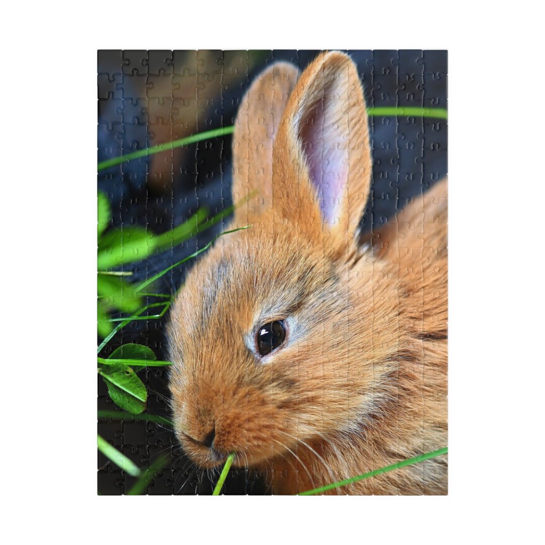 Cute Bunny Rabbit Jigsaw Puzzle - Rabbits Eating Grass Lovers Gift ...