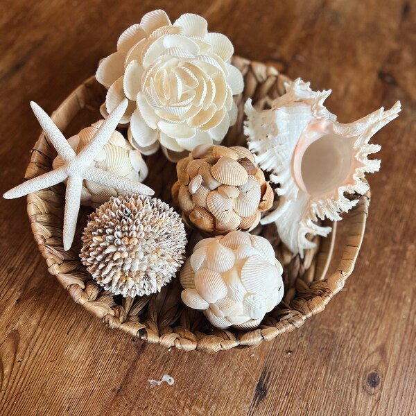 Seashell Balls - Etsy