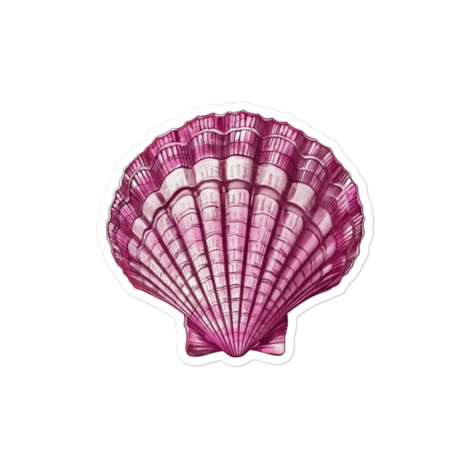 Vintage Pink Scallop Shell Vinyl Sticker Retro Beach Decal for Water ...