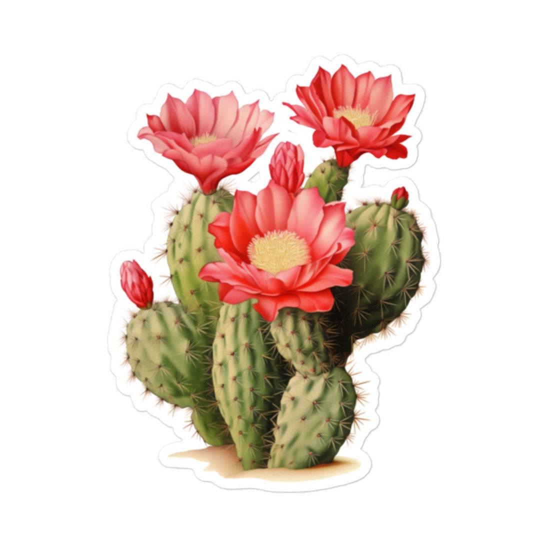 Cactus With Pink Flowers Vinyl Sticker - Desert Succulent Decal for ...