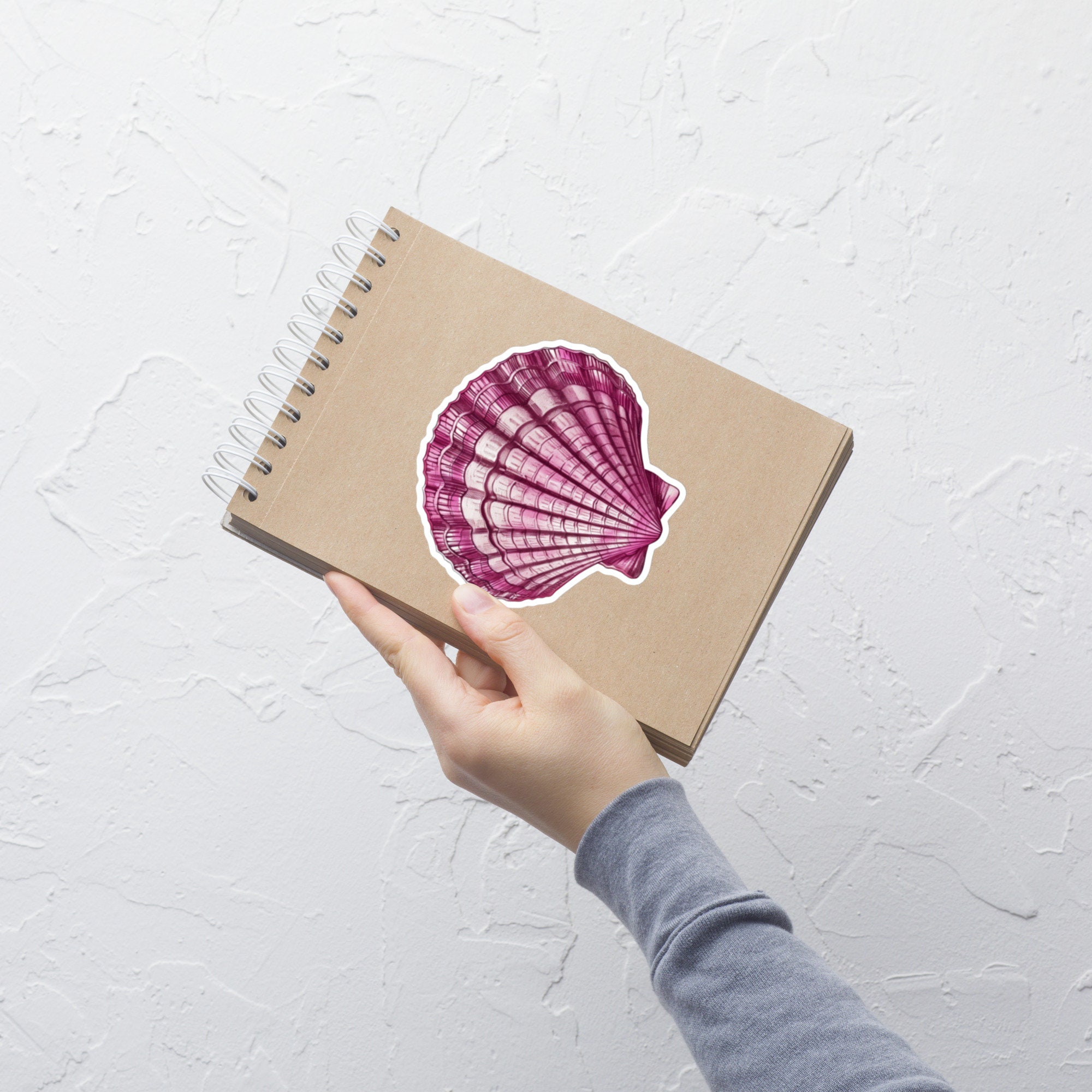 Vintage Pink Scallop Shell Vinyl Sticker Retro Beach Decal for Water ...