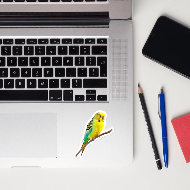 Yellow and Green Parakeet Vinyl Sticker - Budgerigar Bird Decal for ...