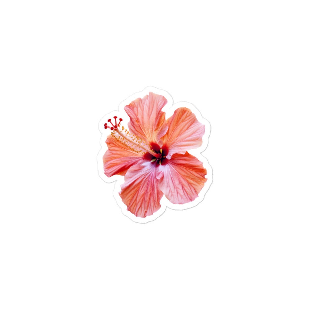 Vibrant Hibiscus Flower Vinyl Sticker – Tropical Floral Decal for ...