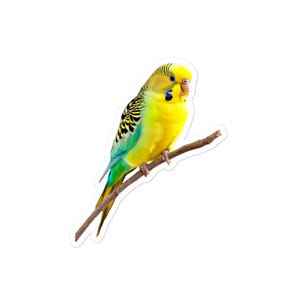 Yellow and Green Parakeet Vinyl Sticker - Budgerigar Bird Decal for ...